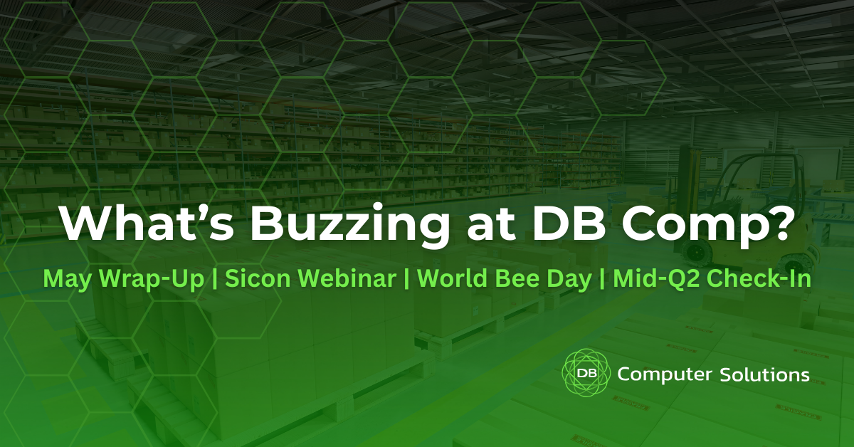 May Round-Up 🐝 - DB Comp